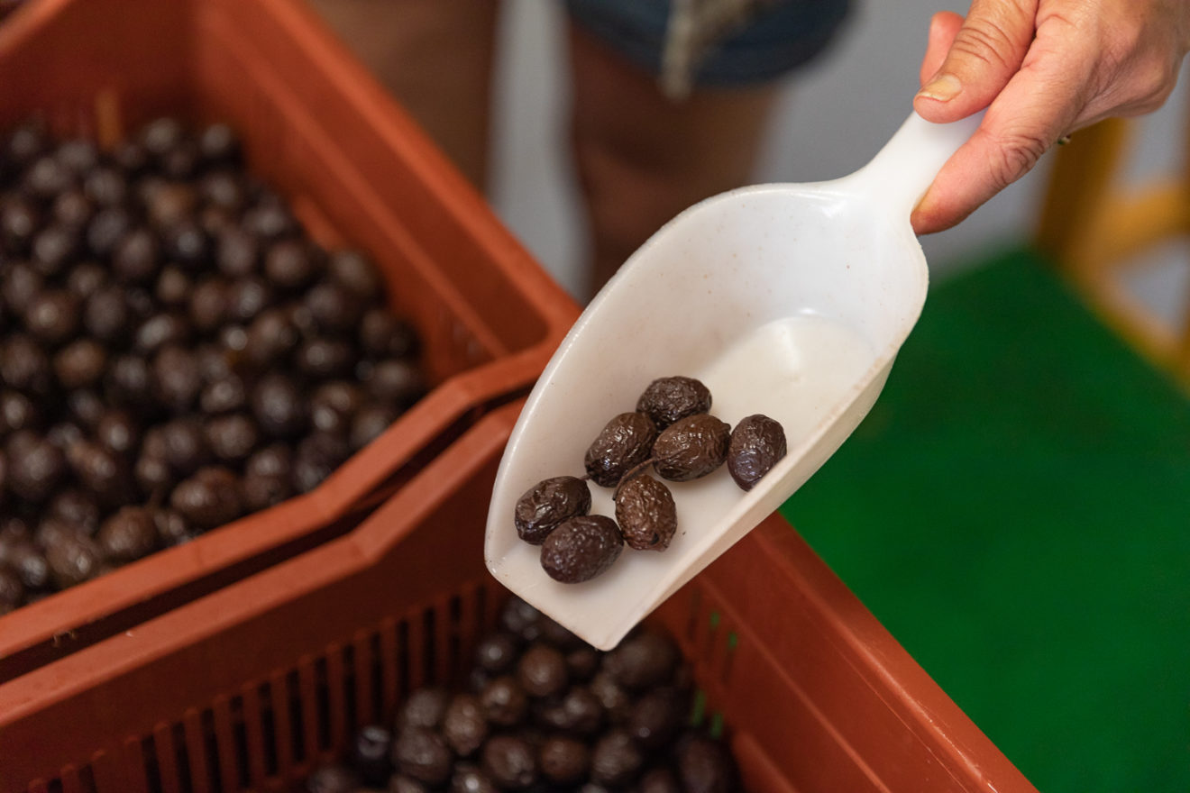 L’olive noire de Nyons : découverte et recettes savoureuses - Itinera ...