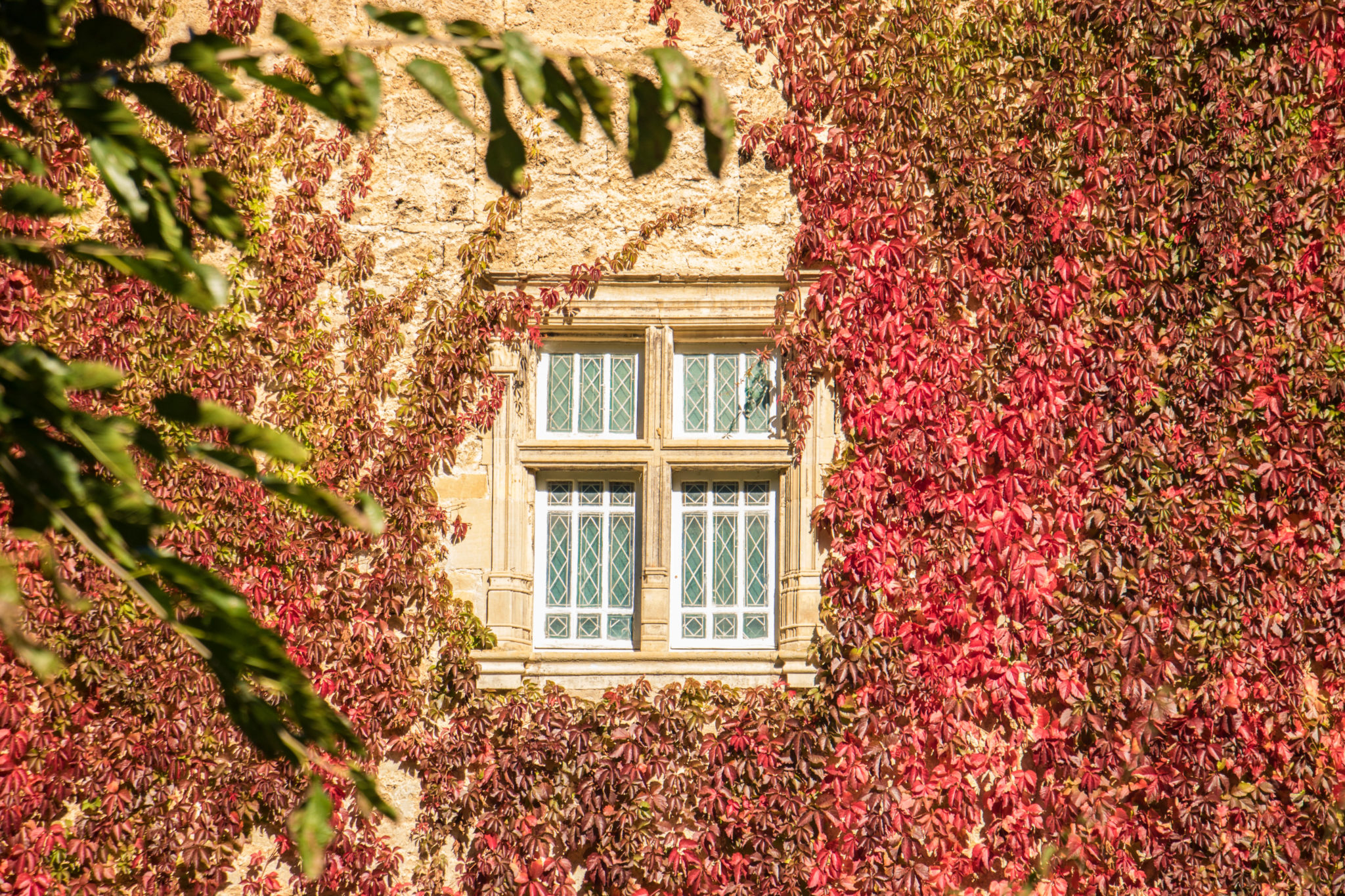 Les plus belles couleurs d’automne en France - Itinera-magica.com