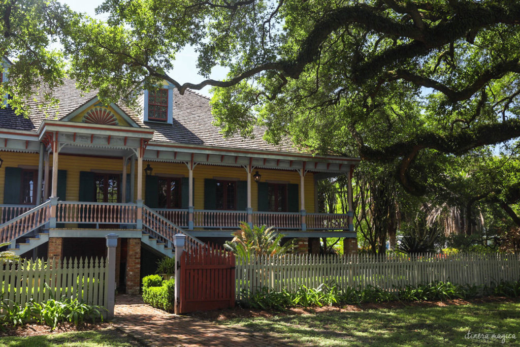 Au cœur des bayous de Louisiane - Itinera-magica.com