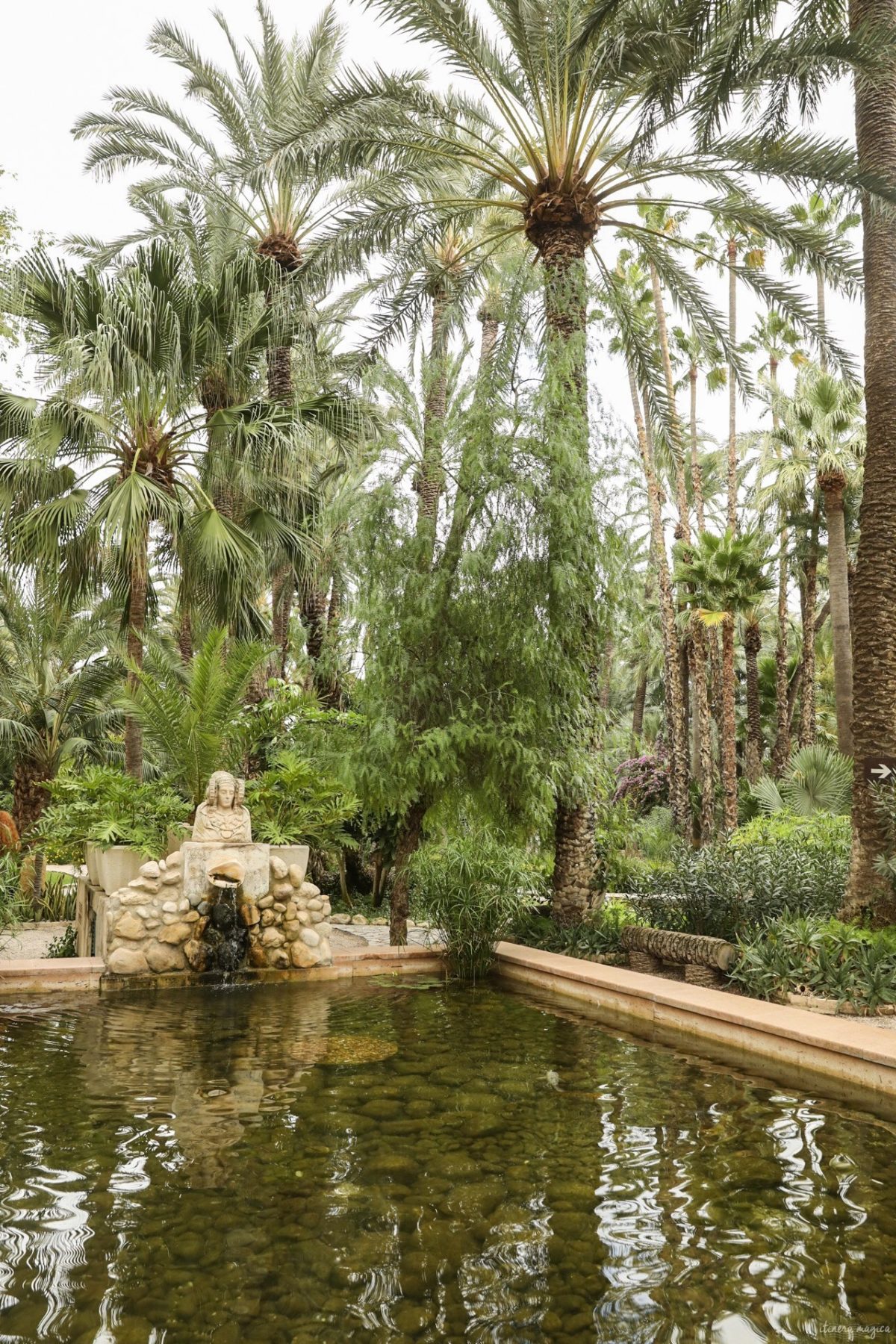 Visiter Elche, l'Orient en Espagne - Itinera-magica.com