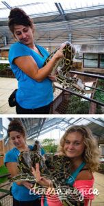 La ferme aux crocodiles: paradis drômois des reptiles - Itinera-magica.com