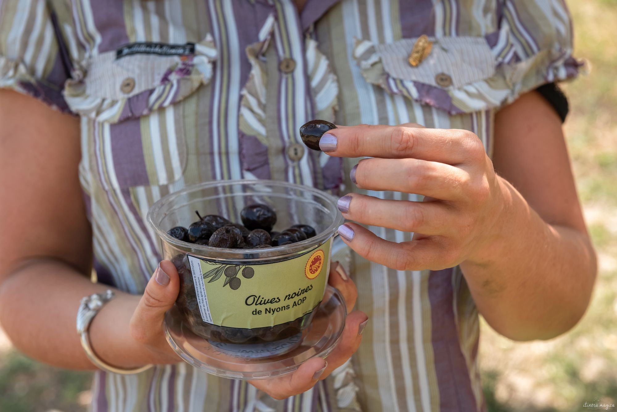 L’olive noire de Nyons : découverte et recettes savoureuses - Itinera ...