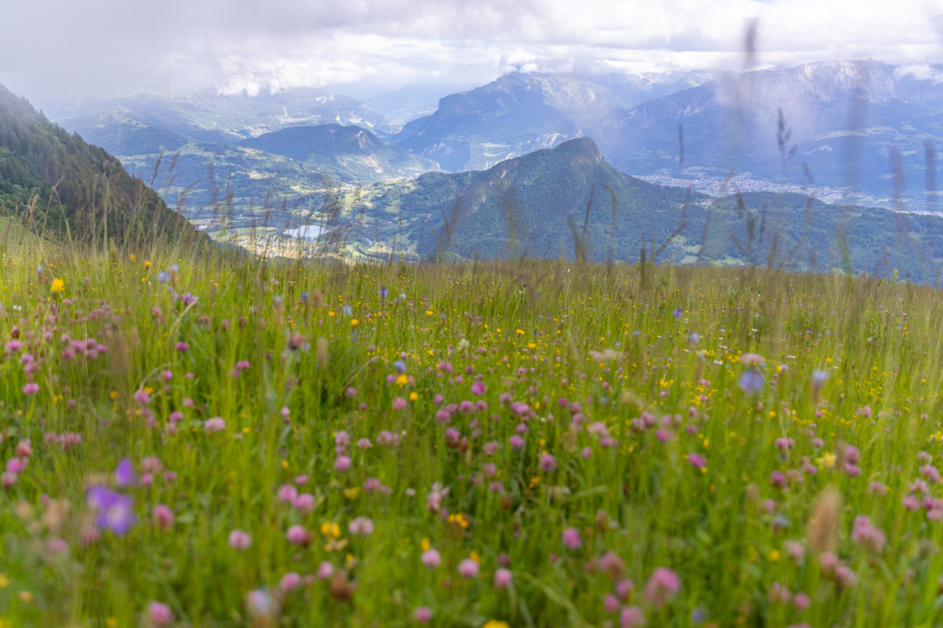 Une perle verte en Haute Savoie : Praz de Lys Sommand - Itinera-magica.com