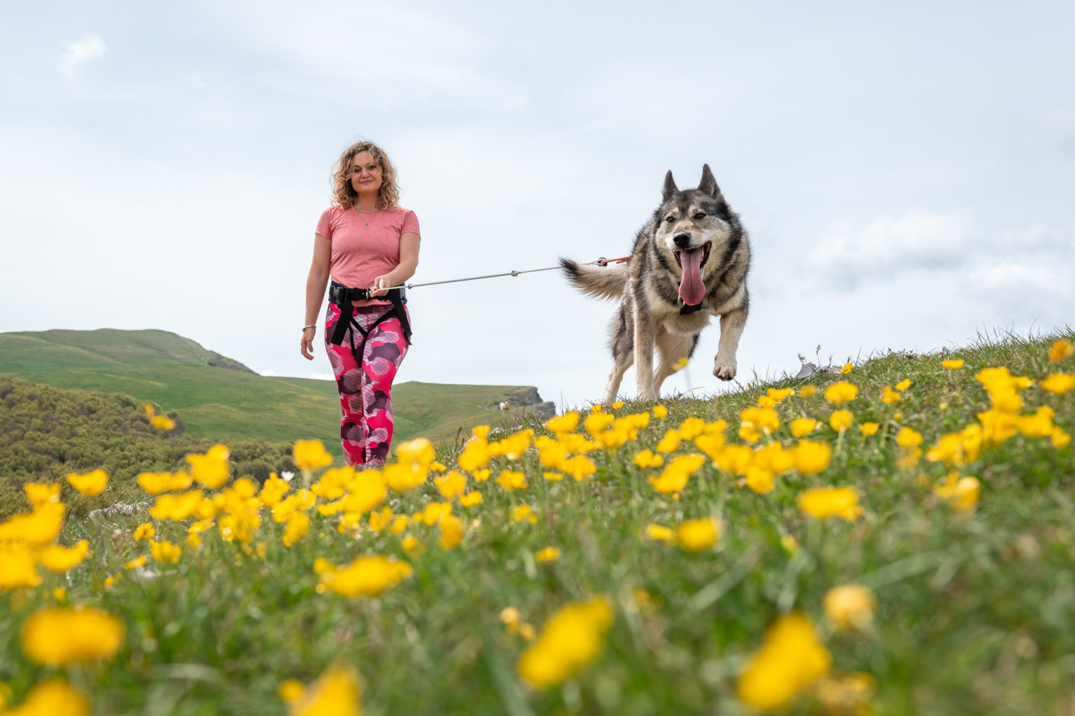 Merveilles du Vercors drômois, côté Ouest : du col de Rousset au Royans ...