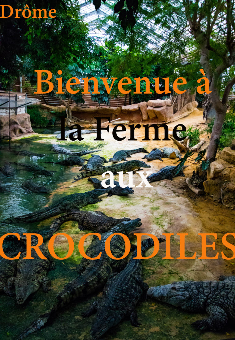 La ferme aux crocodiles: paradis drômois des reptiles - Itinera-magica.com